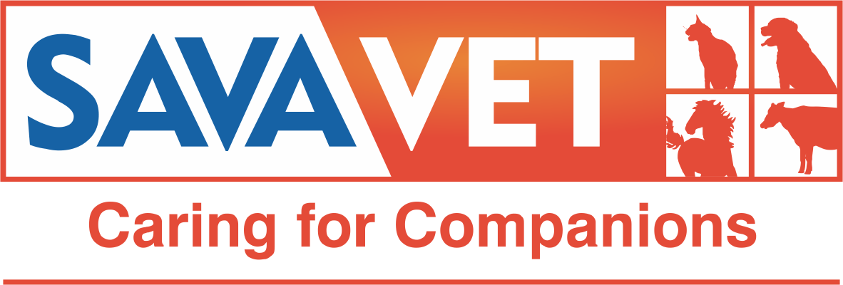 Contract Research and Pharmaceutical Manufacturing - SAVA Healthcare